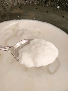 How to Make Slow Cooker Yogurt – Food Play Go