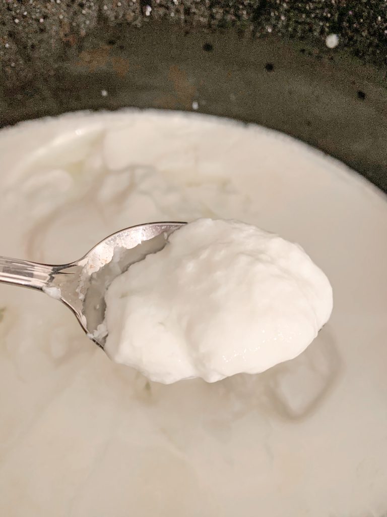 How to Make Slow Cooker Yogurt – Food Play Go